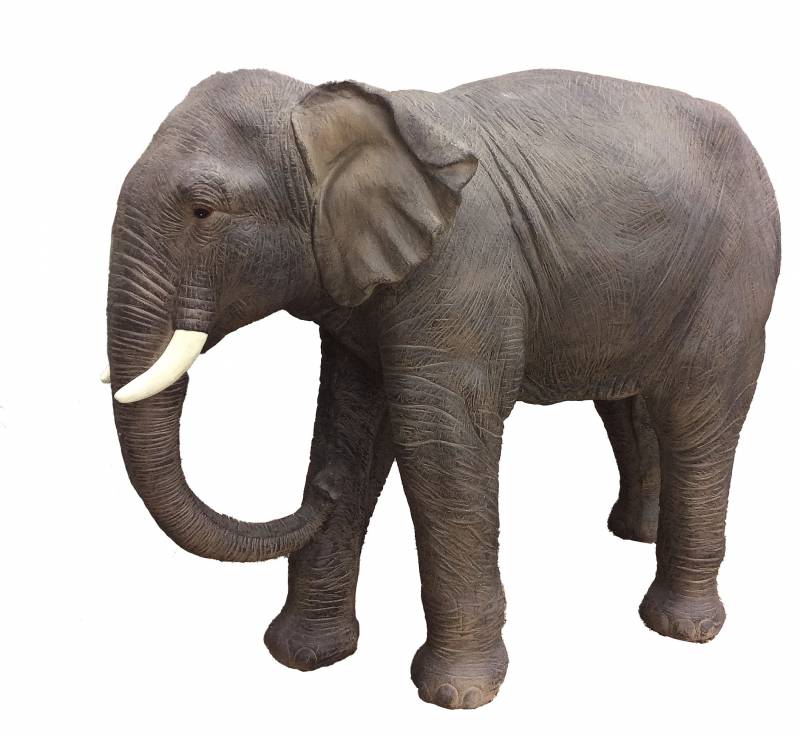 Elephant Madagascar - Large – Gifts That Please